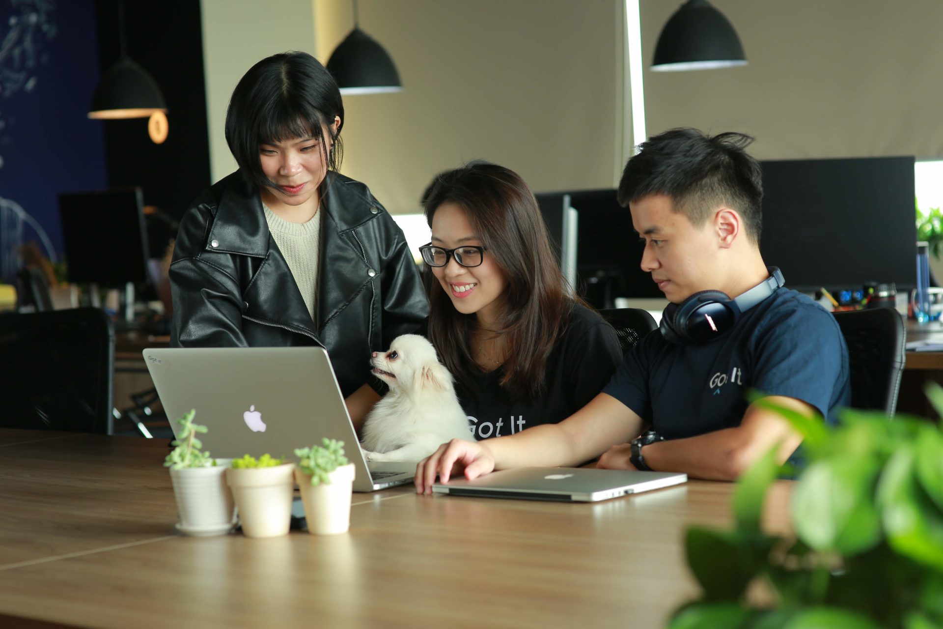 Lập trình web cần học những gì để làm chủ công việc